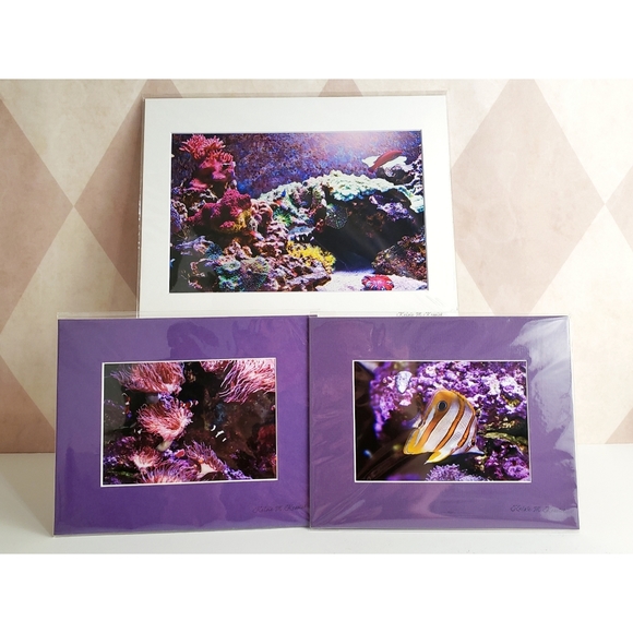 Art | Aquatic Photography Prints | Poshmark